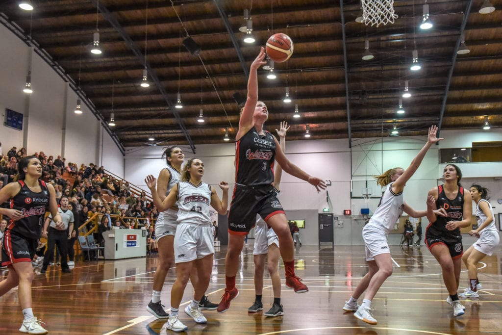 Wildcats' Final Four Campaign Starts Tonight - Canterbury Basketball ...