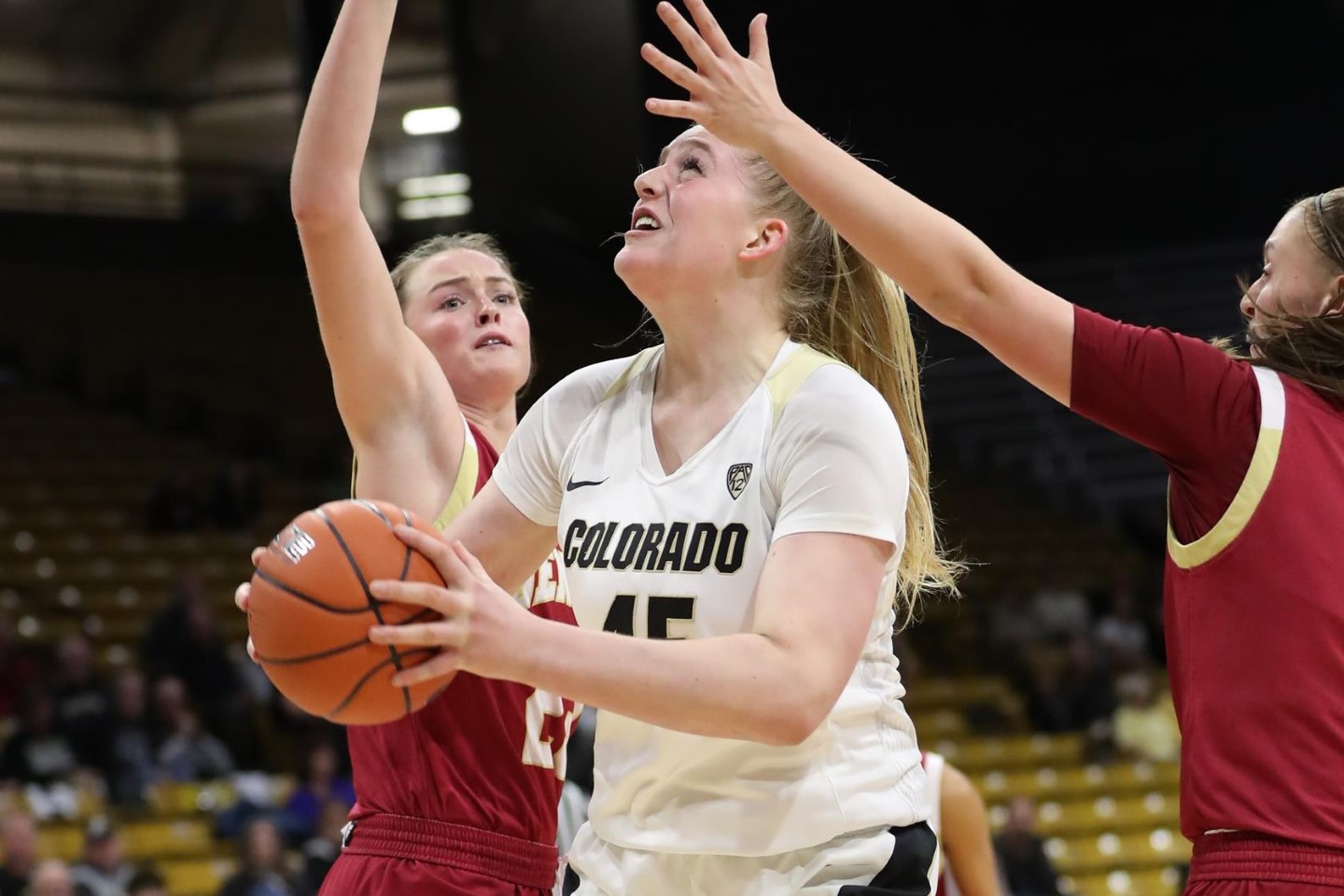 Wildcats Worldwide November '20 - Canterbury Basketball Canterbury ...